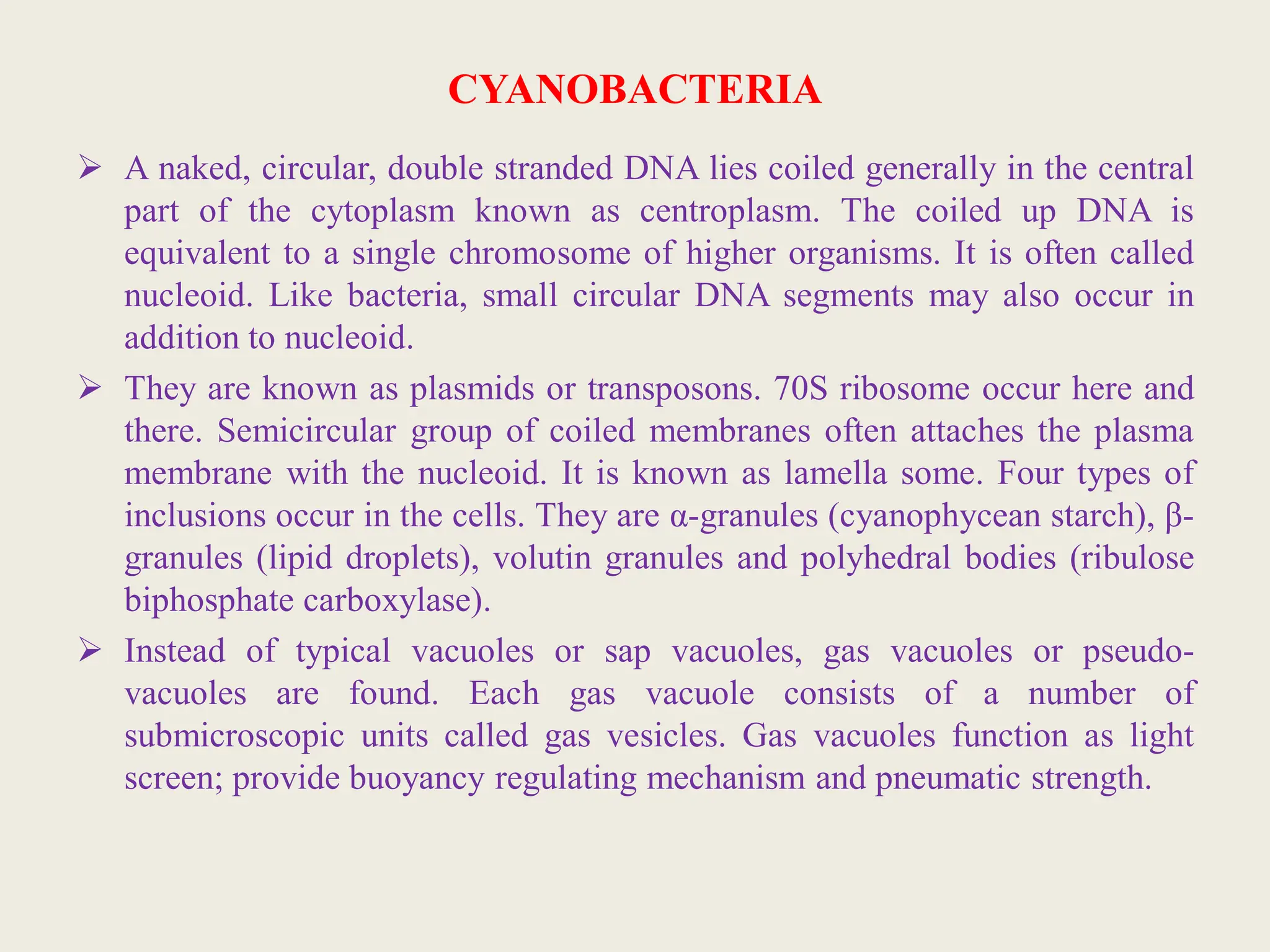 Cyanobacteria & Soil Fertlity.pdf