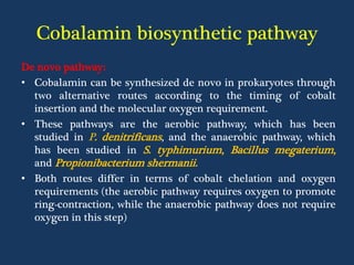 Cyanocobalamin production | PPTX