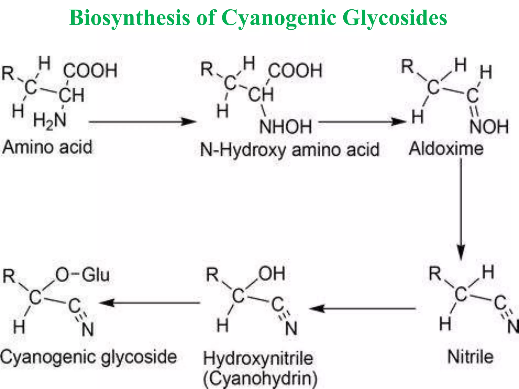 Cyanogenic glycosylates and glucosinolates in plant | PPTX