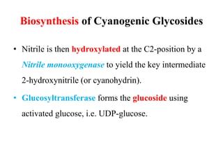 Cyanogenic glycosylates and glucosinolates in plant | PPTX