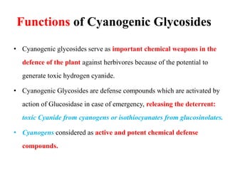 Cyanogenic glycosylates and glucosinolates in plant | PPTX