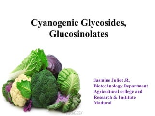 Cyanogenic glycosylates and glucosinolates in plant | PPTX