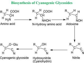 Cyanogenic glycosylates and glucosinolates in plant | PPTX