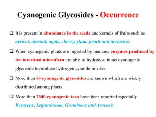 Cyanogenic glycosylates and glucosinolates in plant | PPTX