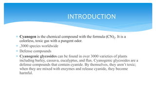 Cyanogen toxicology by uns tariq | PPT