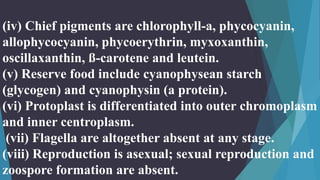 CYANOPHYCEAE.pptx