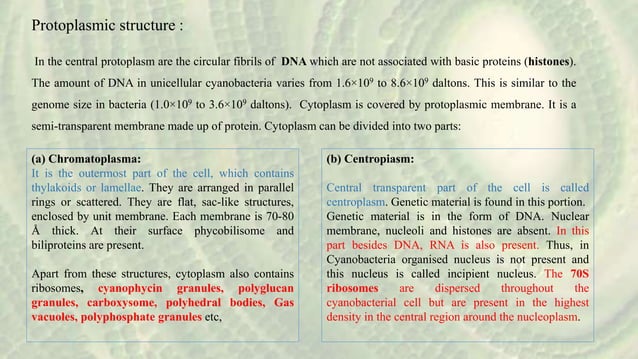 Cyanophyceae protoplasmic structure and Phycobilisomes Structure | PPTX