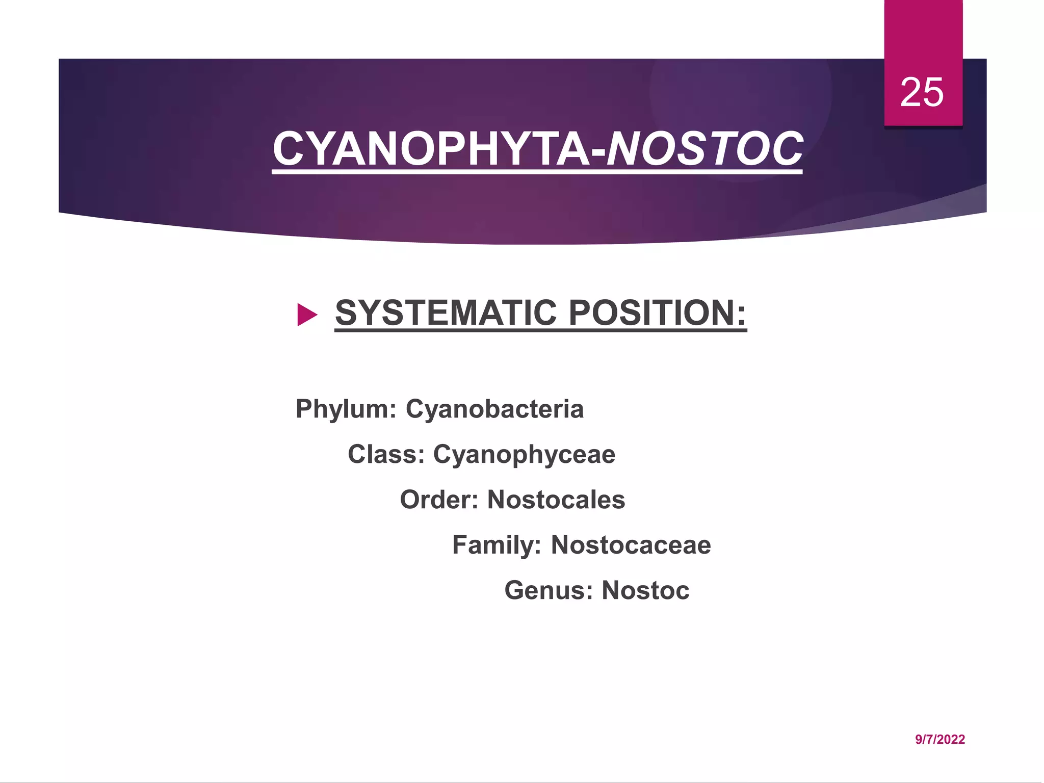 Cyanophyta | PPT