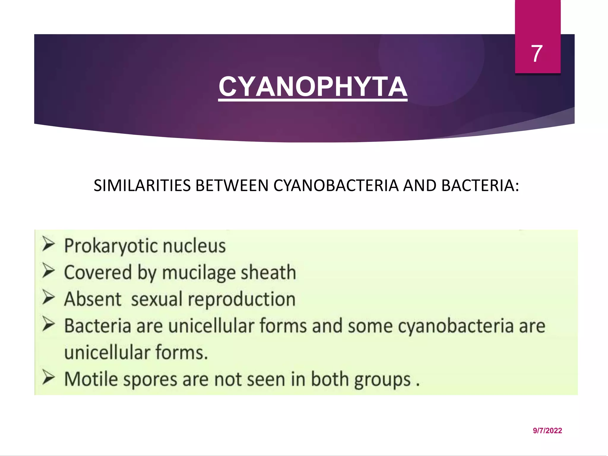 Cyanophyta | PPT