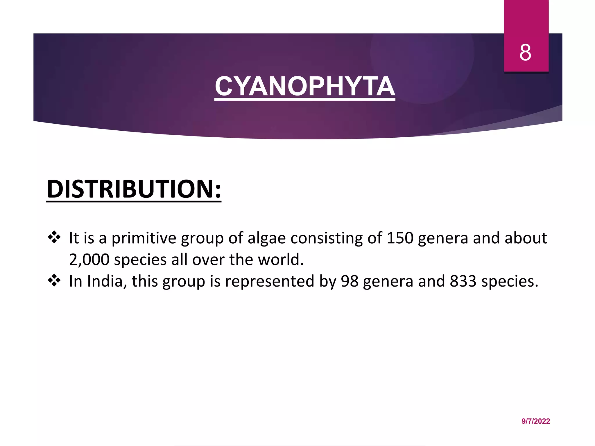 Cyanophyta | PPT