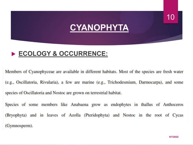 Cyanophyta | PPT