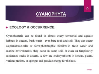 Cyanophyta | PPT