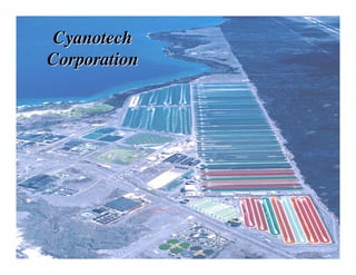 Cyanotech Spirulina | PDF