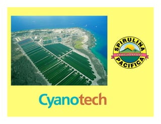 Cyanotech Spirulina | PPT