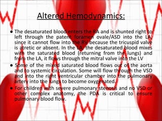 Cyanotic Heart Defects | PPT