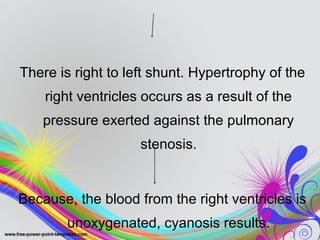 Cyanotic heart disease | PPT