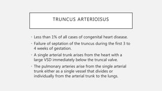 Cyanotic heart diseases | PPTX