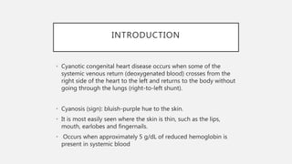 Cyanotic heart diseases | PPTX