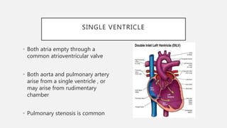 Cyanotic heart diseases | PPTX