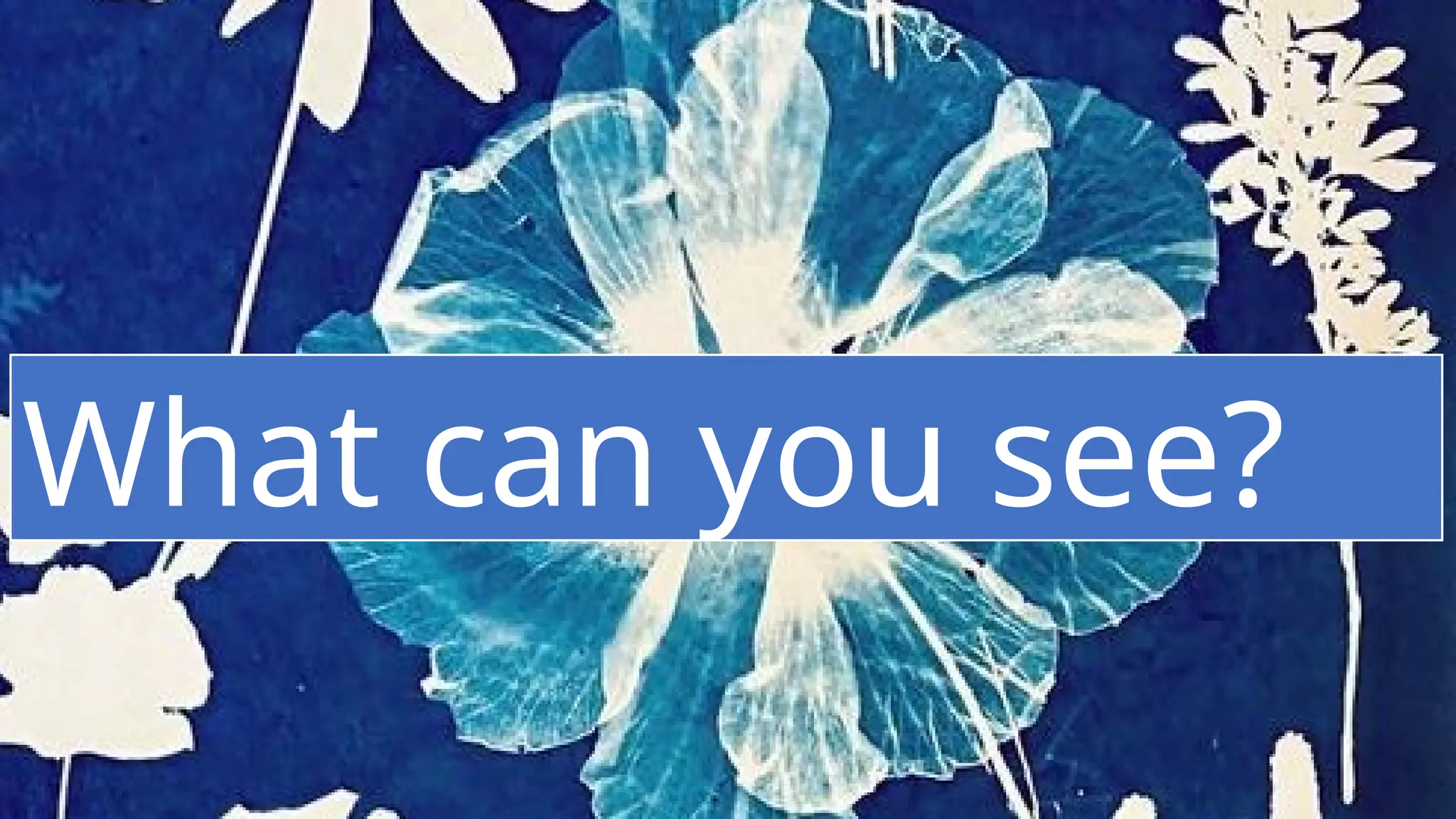 Cyanotype photo slideshow starter intro for kids | PPTX