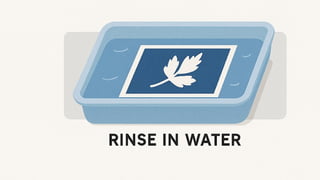 Cyanotype photo slideshow starter intro for kids | PPTX