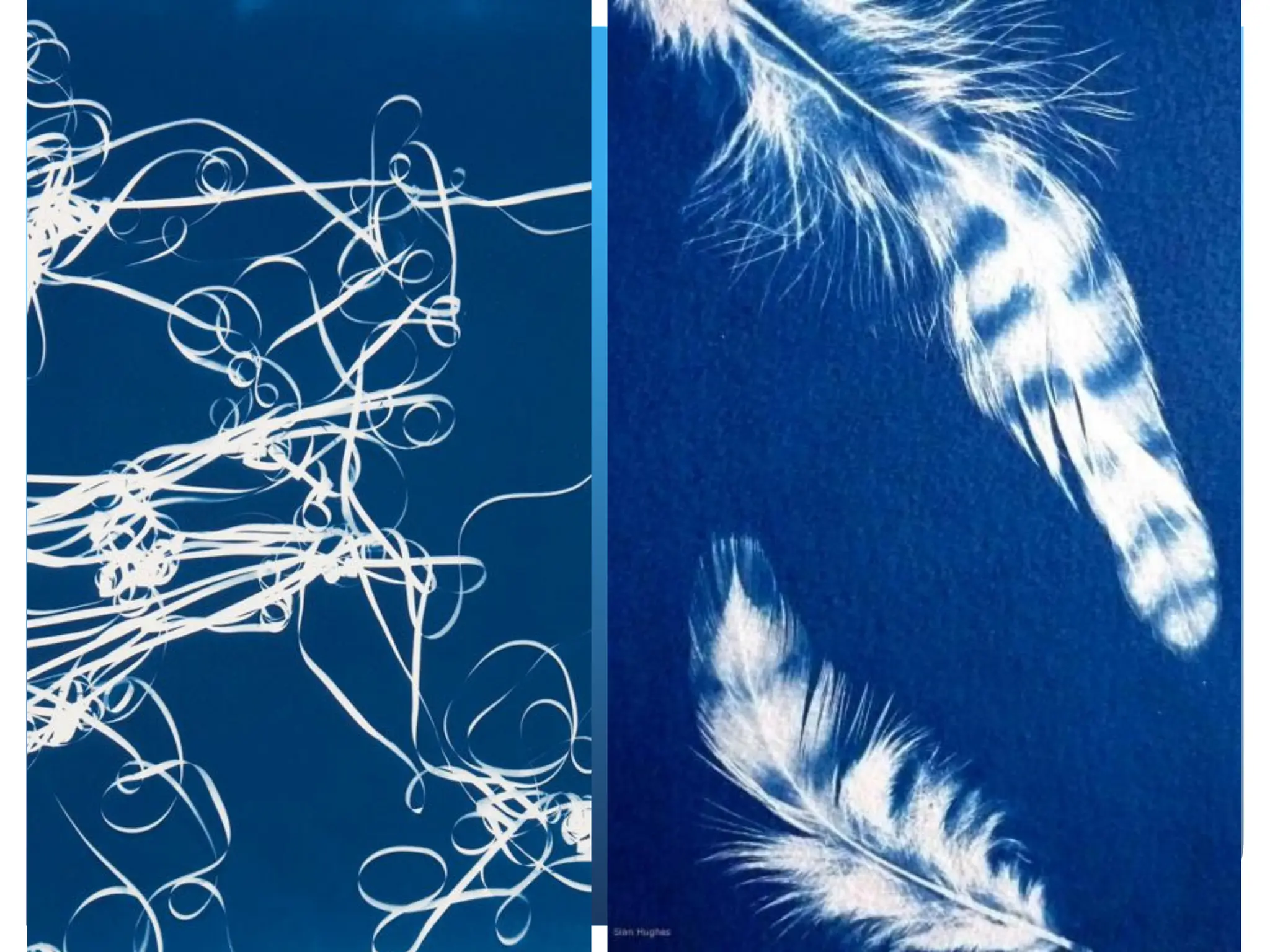 Cyanotype Lesson - Basic overview of cyanotypes and how to implement in ...