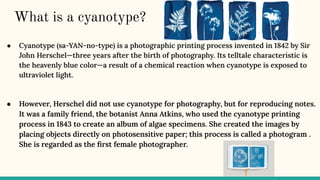 Cyanotypes Slideshow for explaining what cyanotypes are | PDF