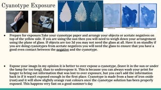 Cyanotypes Slideshow for explaining what cyanotypes are | PDF