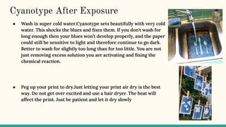 Cyanotypes Slideshow for explaining what cyanotypes are | PDF