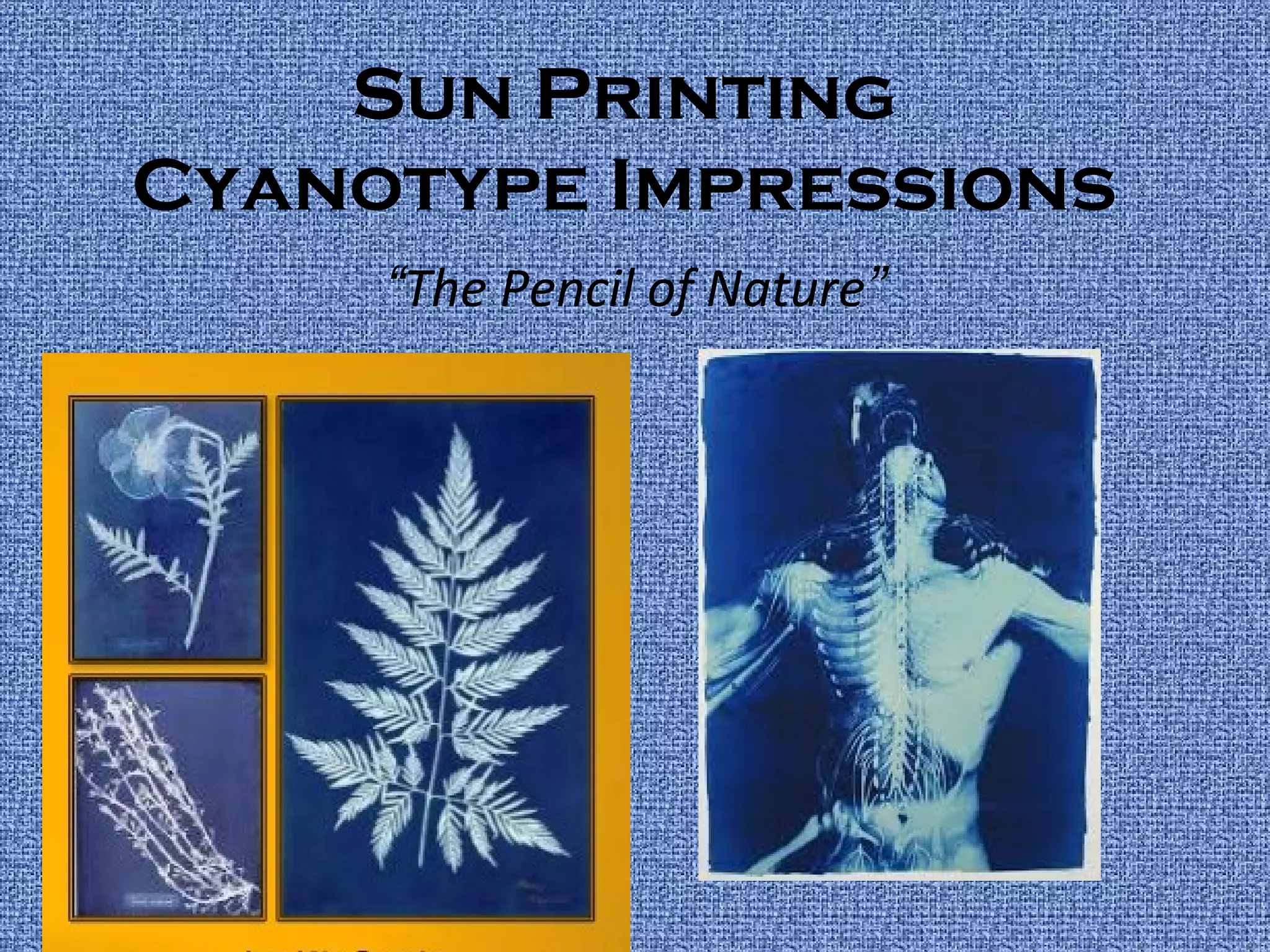 Cyanotype slideshow | PPT