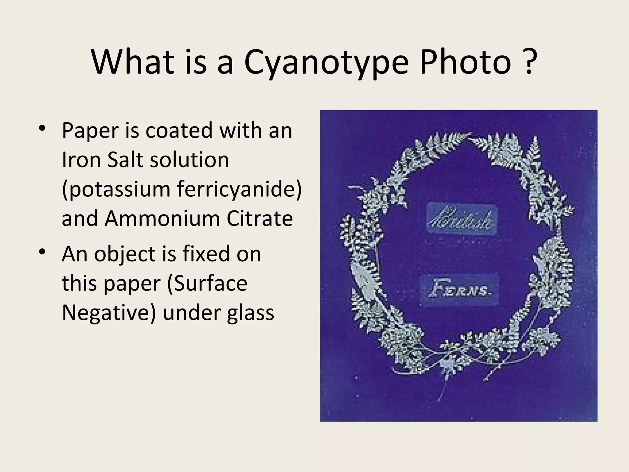 Cyanotype slideshow | PPT