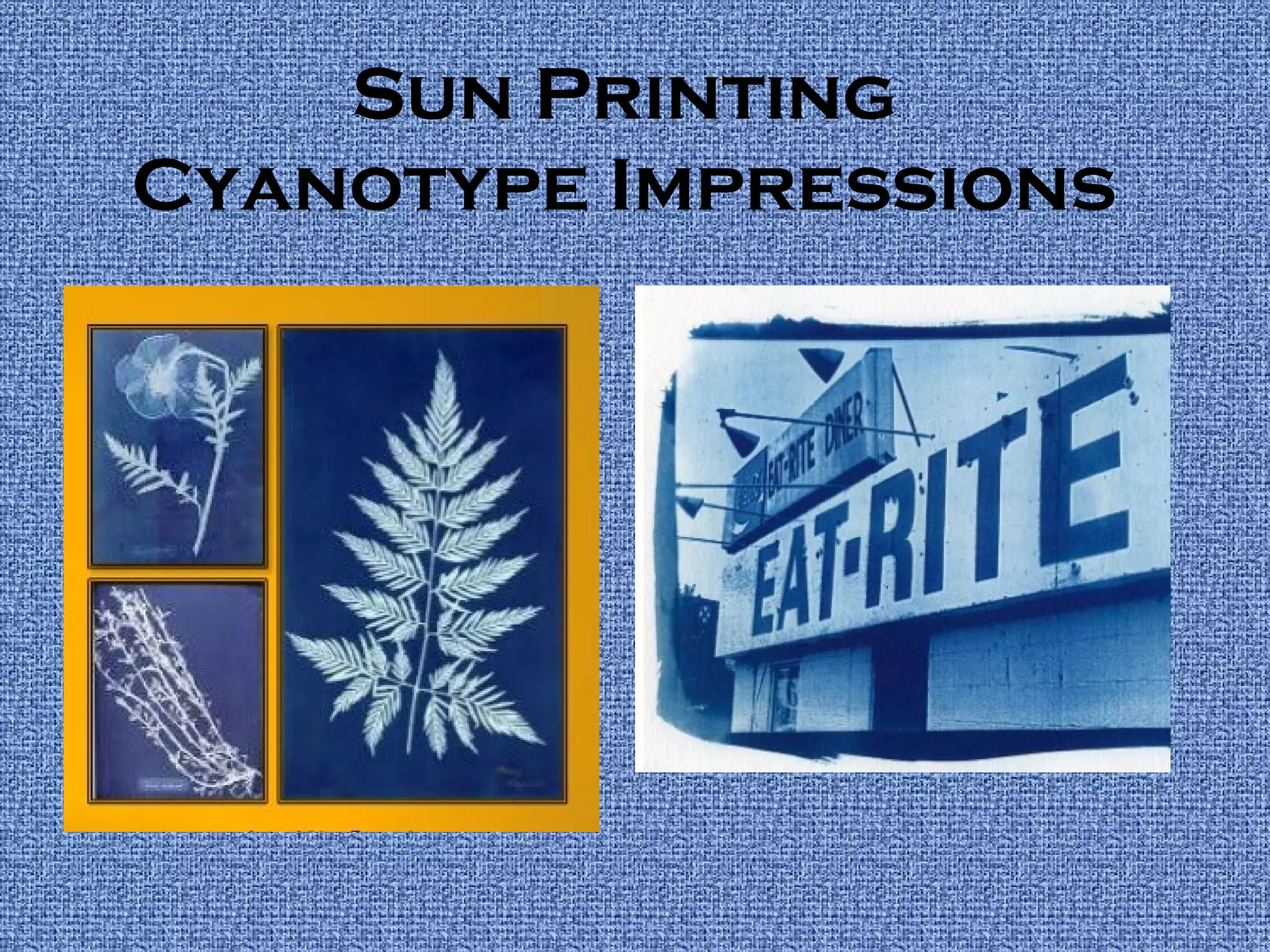 Cyanotype slideshow | PPT