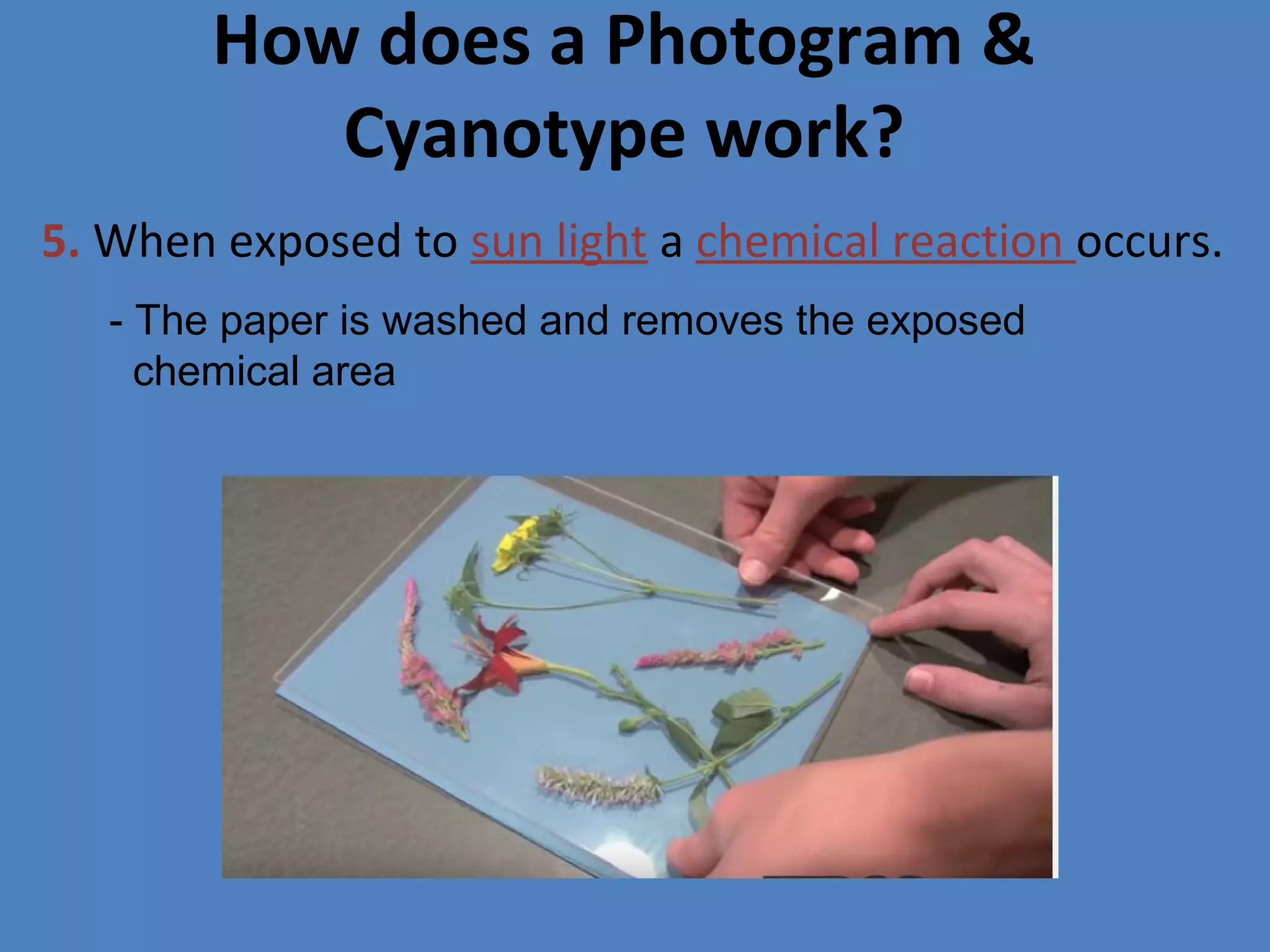Cyanotype slideshow | PPT