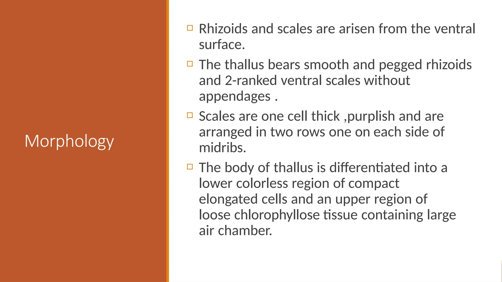 Cyathodium and Reboulia _morphoology and anatomy | PPTX