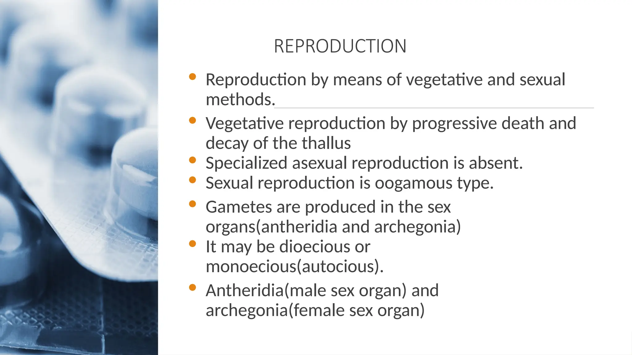 Cyathodium and Reboulia _morphoology and anatomy | PPTX