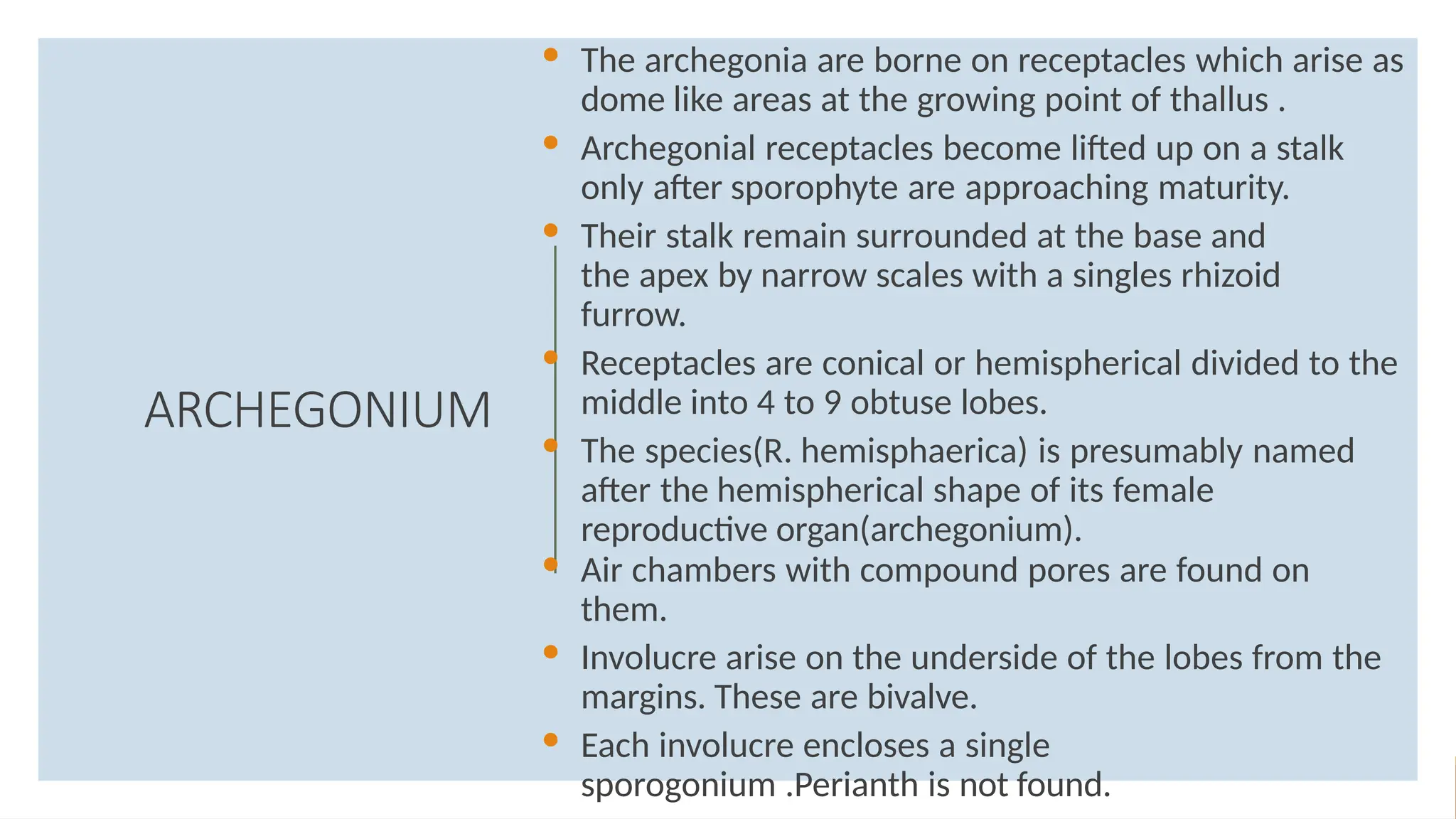 Cyathodium and Reboulia _morphoology and anatomy | PPTX