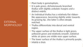 Cyathodium and Reboulia _morphoology and anatomy | PPTX