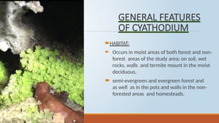 Cyathodium and Reboulia _morphoology and anatomy | PPTX