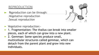Cyathodium and Reboulia _morphoology and anatomy | PPTX