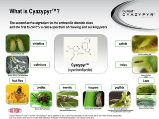 Cyazypyr | PPT