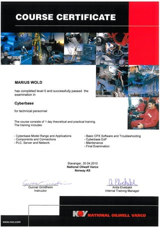 Cyberbase | PDF | Manufacturing Industry | Industries