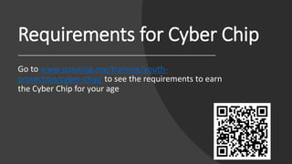 Internet Safety & Cyber chip presentation | PPTX