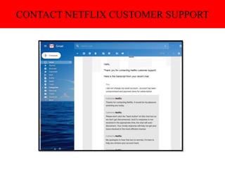 Cyber fraud (netflix) | PPT