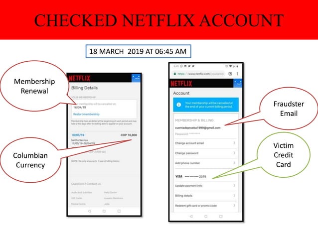 Cyber fraud (netflix) | PPTX