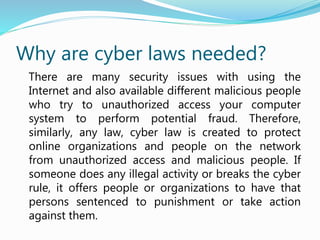 Cyber Law.pptx