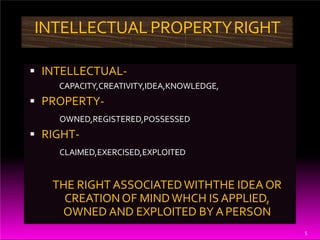 Computer Software and Related IPR Issues | PPTX