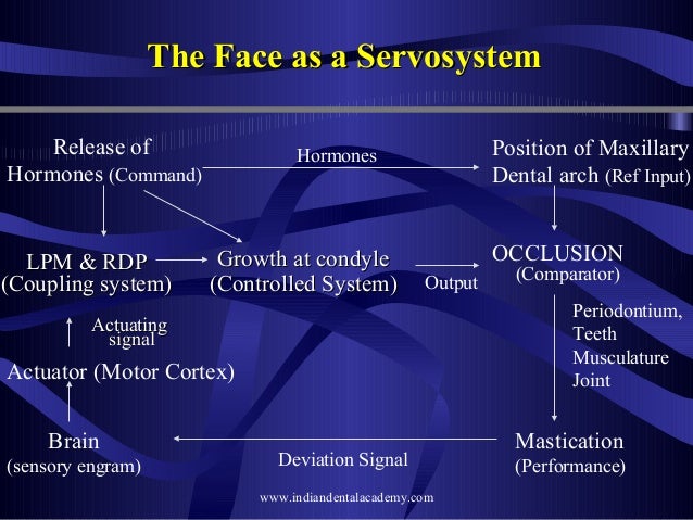 Cybernetic theory of craniofacial growth /certified fixed orthodontic…