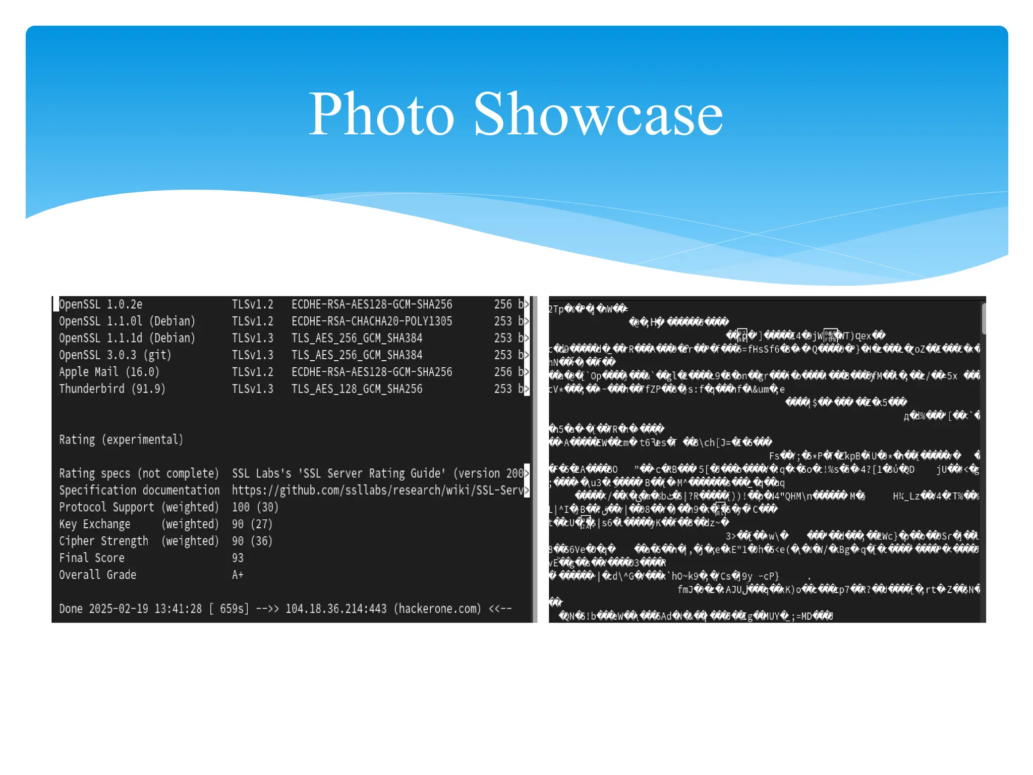 Cyber_Reconnaissance_Tool_Presentation.pptx