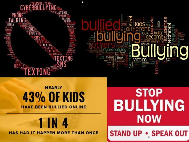 Computer Project on Cyber Safety | PPTX