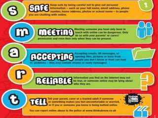 Computer Project on Cyber Safety | PPTX